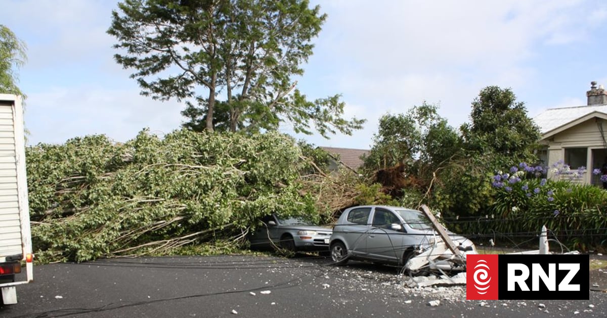 Summer storm brings snow, wild weather | RNZ