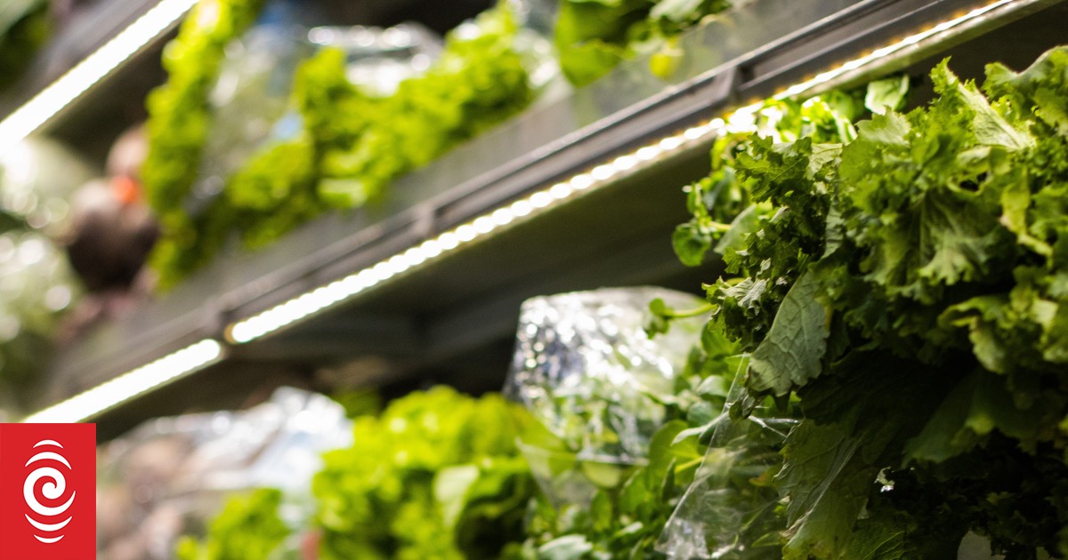 Fruit and vegetable costs up 22 percent as annual food price inflation ...