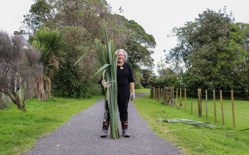 Kāpiti Coast weaving traditional knowledge into native plant care | RNZ