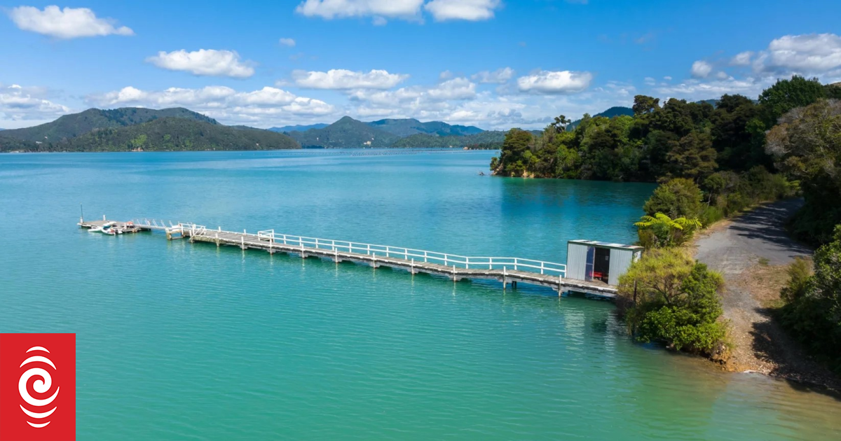 Jetty in Marlborough Sounds closes after 'high risk' to public | RNZ News