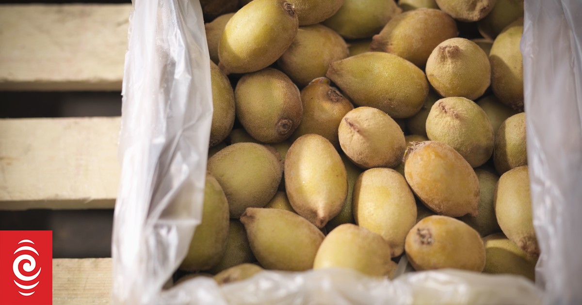 Seeka wants approval for $60m deal to buy kiwifruit rival | RNZ News