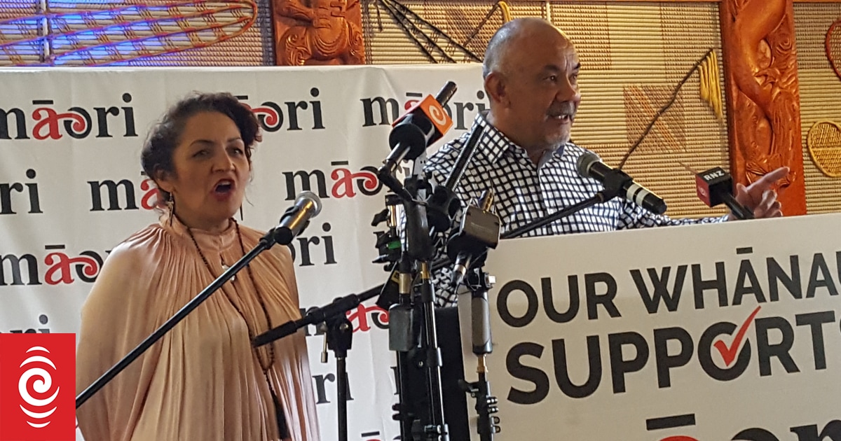 Maori Party includes overstayer amnesty in election policy | RNZ News