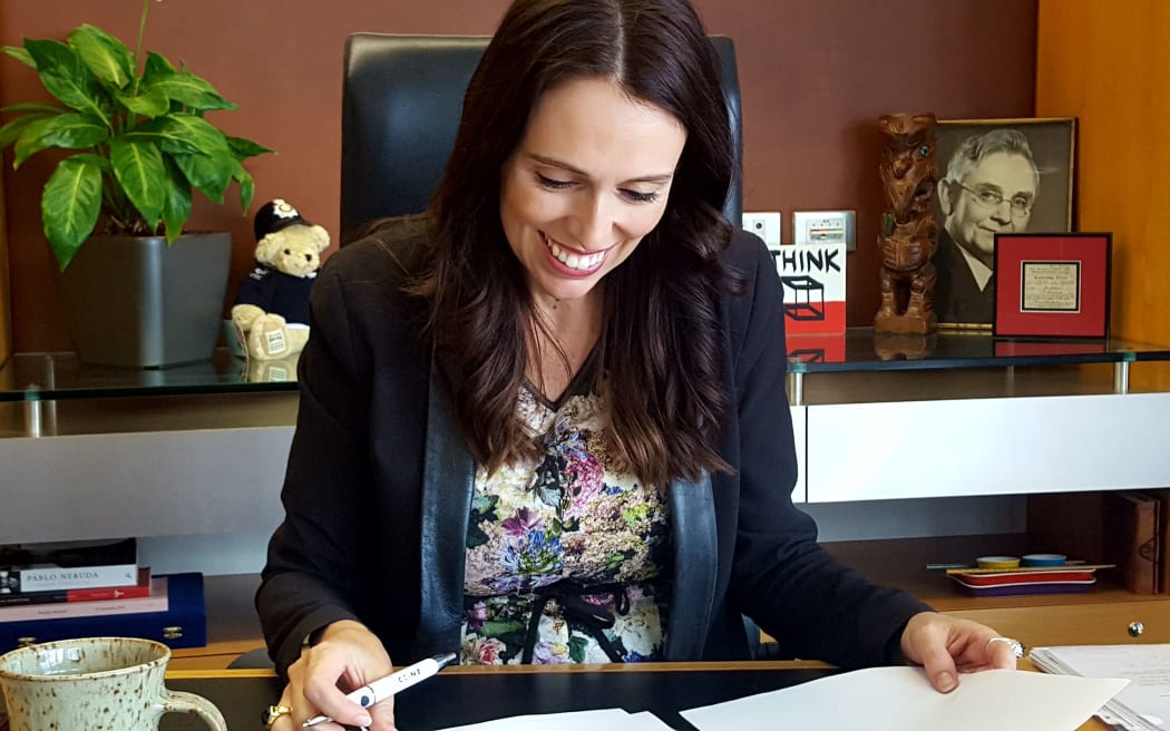 Sizing up the 100-day plan | RNZ News