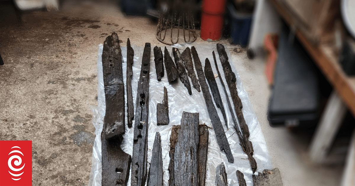 Chatham Islands father son duo makes ancient waka discovery, collecting ...