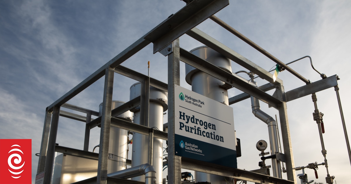 Green hydrogen: Australian demonstration closely watched by NZ firm ...