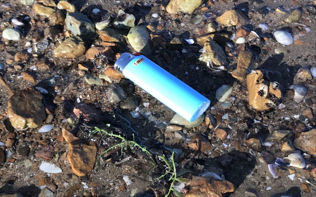 Caulerpa invasive seaweed threat spreading - what you need to know ...