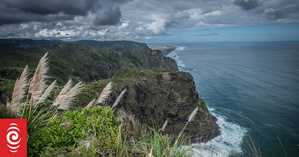 Piha cliffs focus of search for missing woman Kim Bambus | RNZ