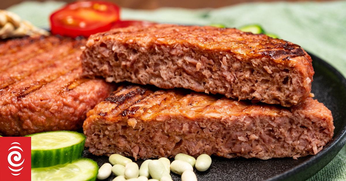 ASB aims to boost food and fibre firms with access to funding | RNZ News