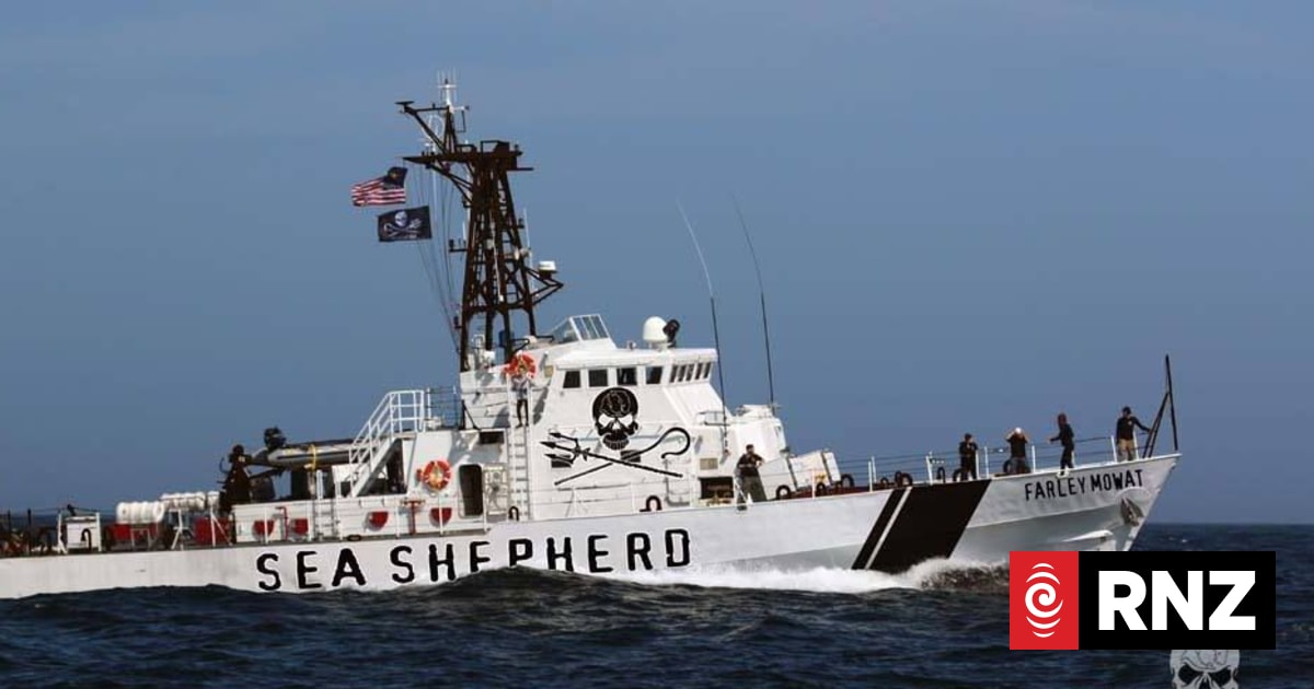 Sea Shepherd to resume anti-whaling fight | RNZ