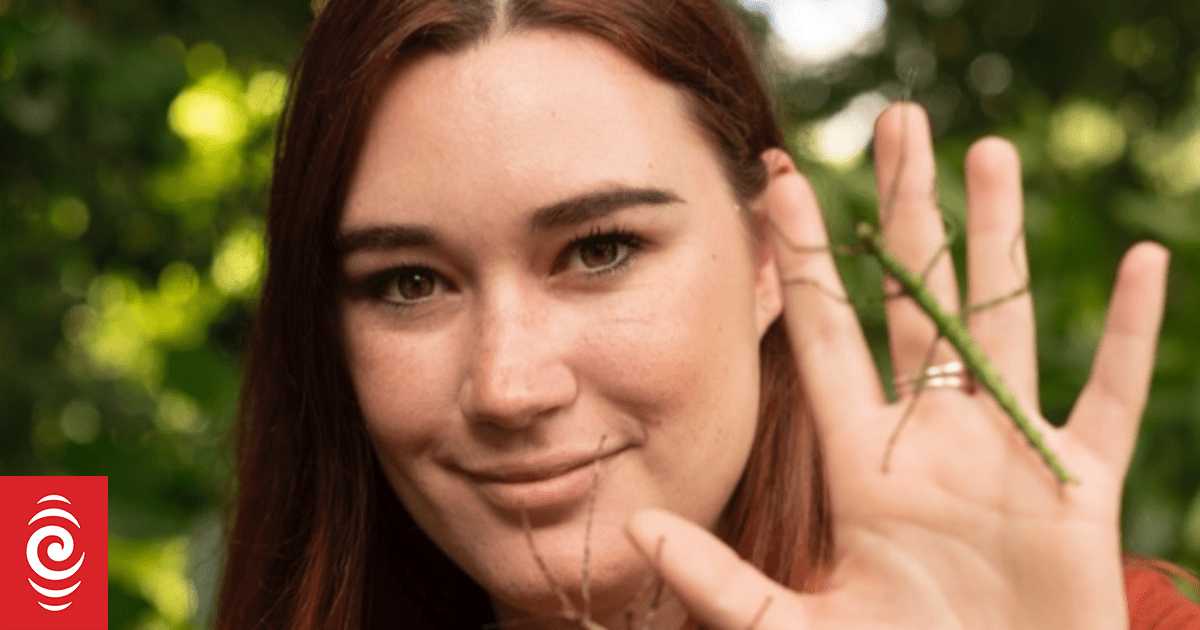 Sticky situation: Where are all the stick insects? | RNZ News