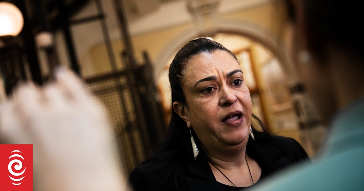 Minister can't guarantee abuse won't occur at controversial boot camps ...