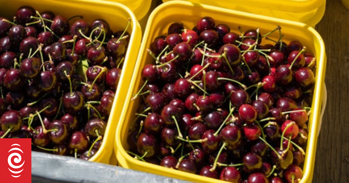 Fruit and Vege Report with Glenn Forsyth | RNZ