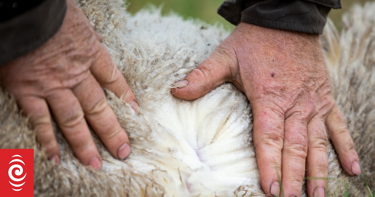 The Panel with Ruth Money and Peter Field (Part 2) | RNZ