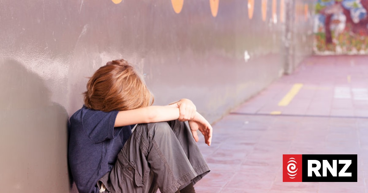 UN recommends inquiry into state care abuse | RNZ