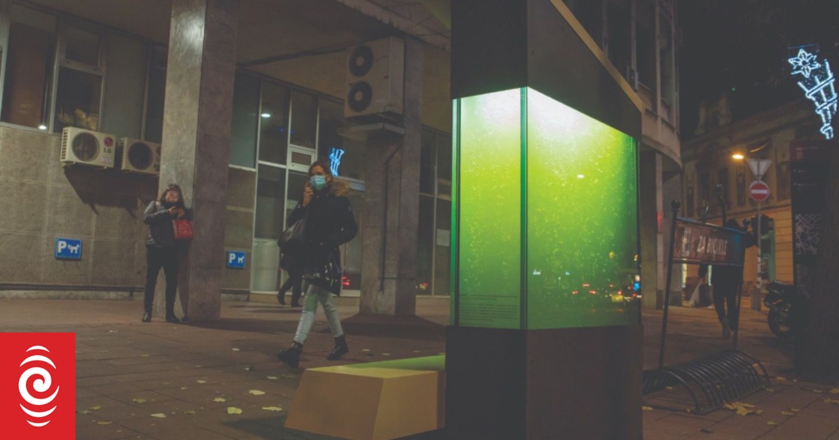 Liquid trees cleaning Serbia's air pollution | RNZ