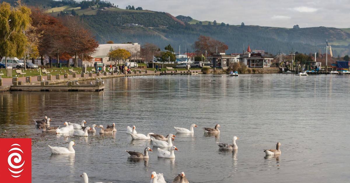 Rotorua locals threaten law breaking over ram raids | RNZ