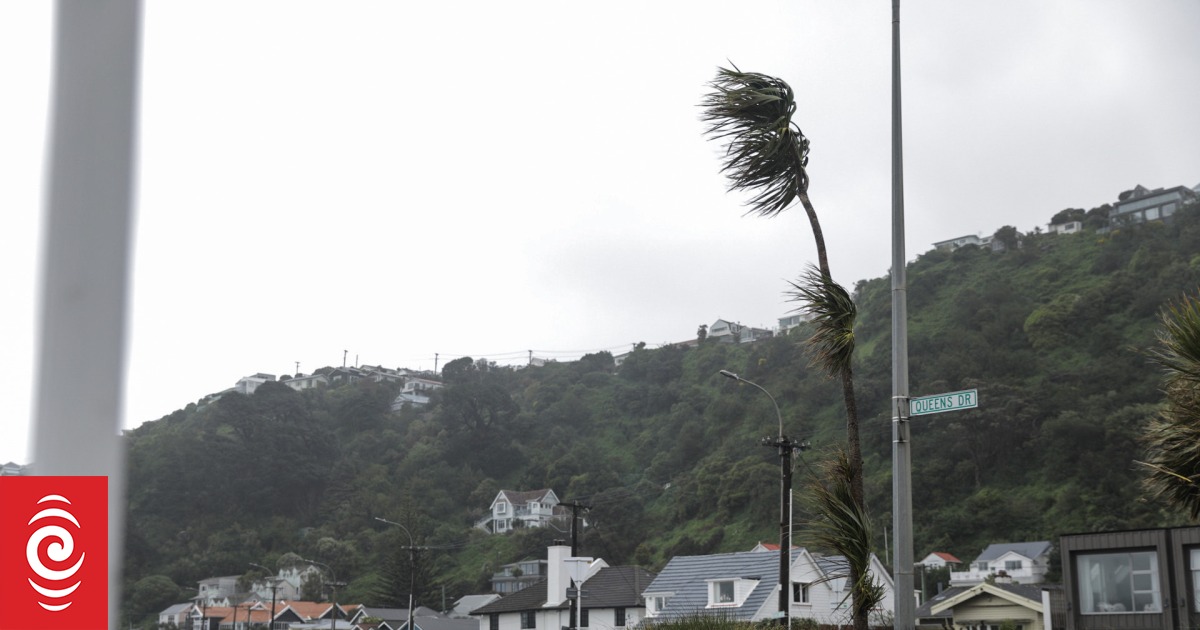 Fierce winds cancel ferry crossings and rip off roofs | RNZ