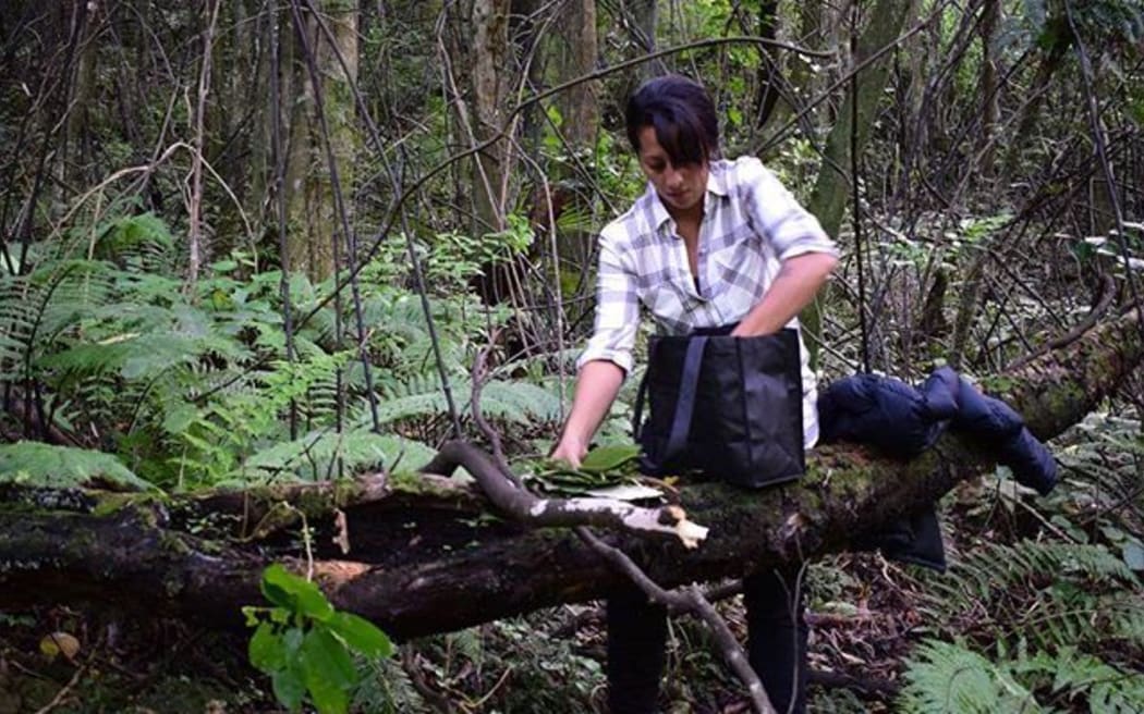 Hiakai: Aotearoa's unique foods as fine dining | RNZ News