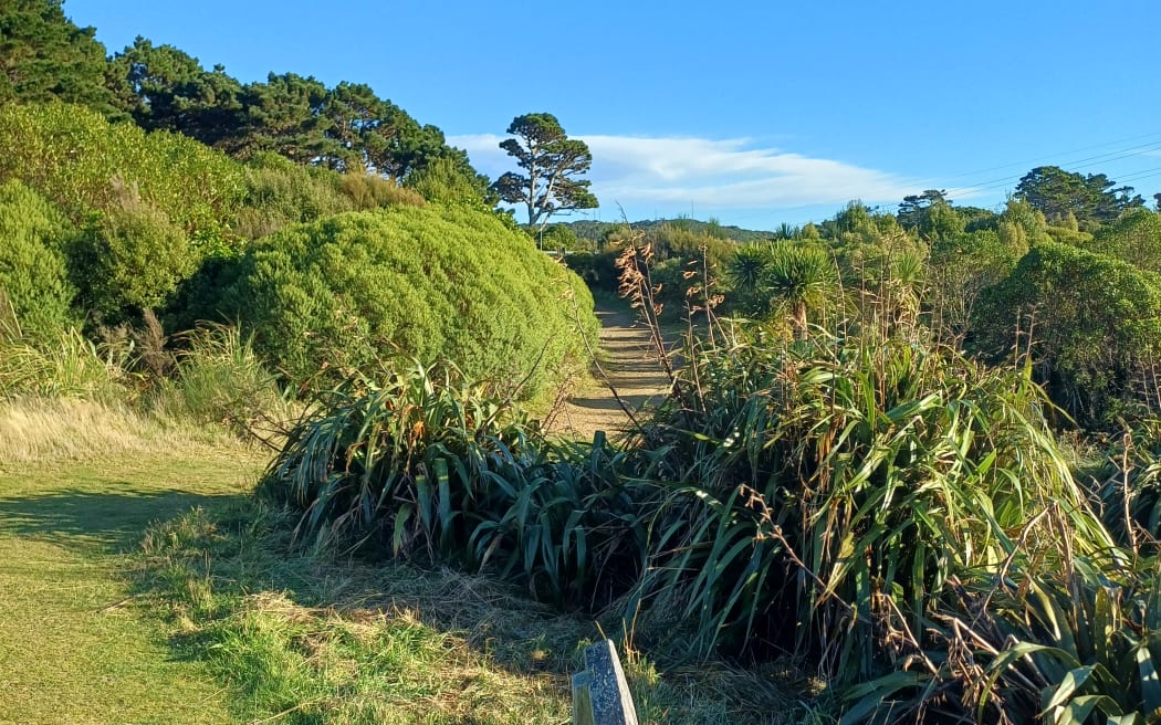 Moment of Calm: Sitting by the trail. | RNZ