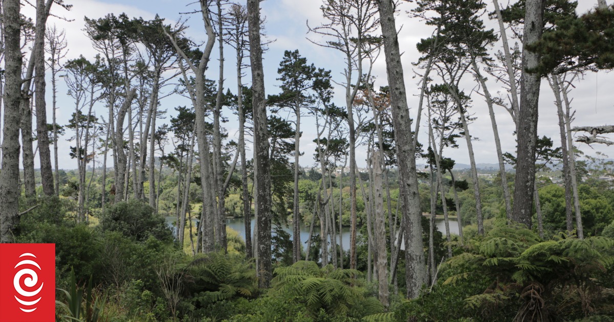 Waitemata Local Board gets dressing-down from Ngāti Whātua historian ...