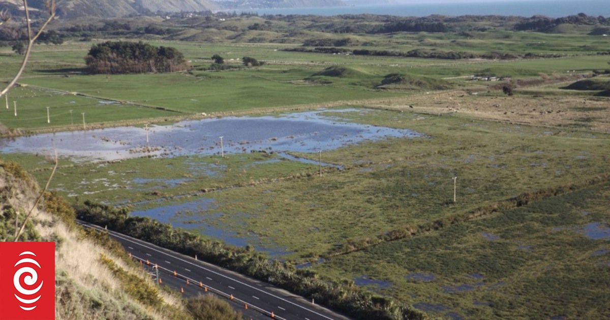 Plan to flip carbon footprint requires govt funding, council says | RNZ ...