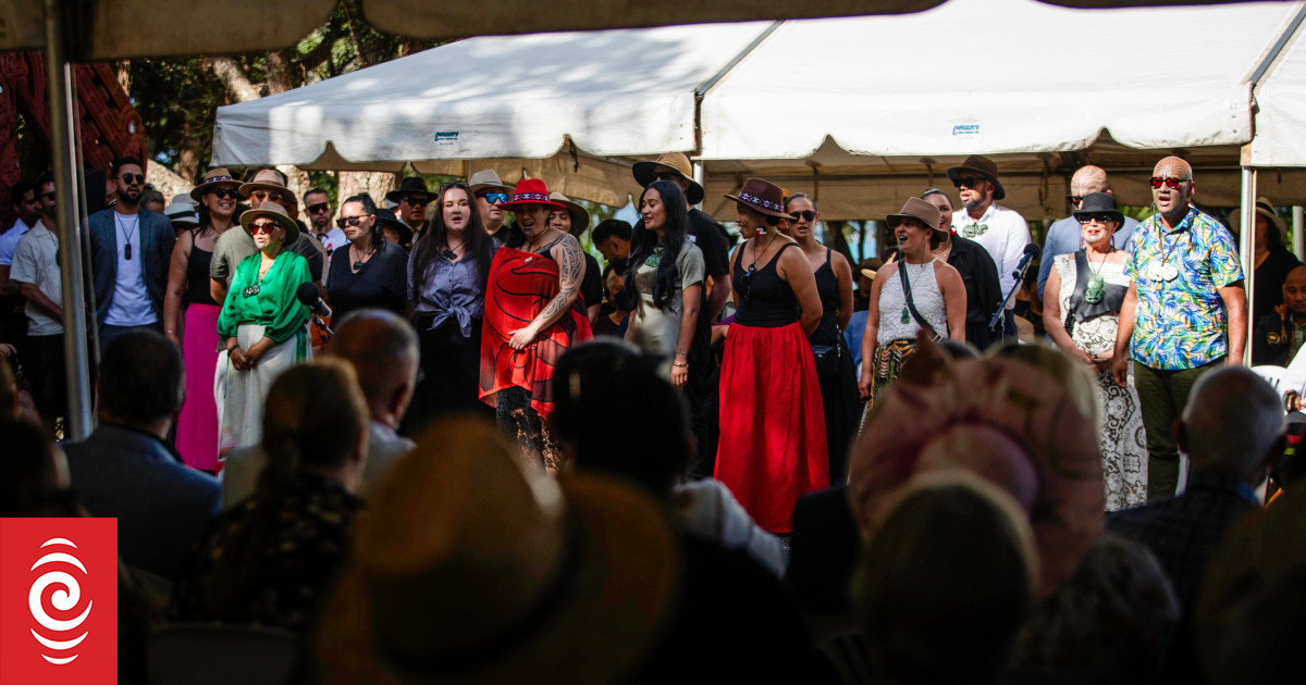 In pictures: Events at Waitangi on Sunday 4 February 2024 | RNZ News
