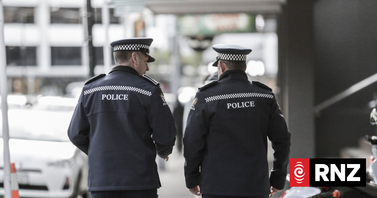 Gun incident highlights need for more police in communities ...