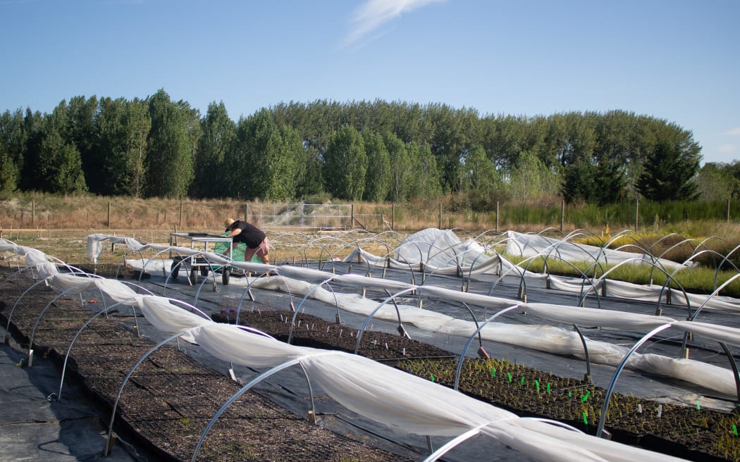 The Turning Point | Trailer | RNZ