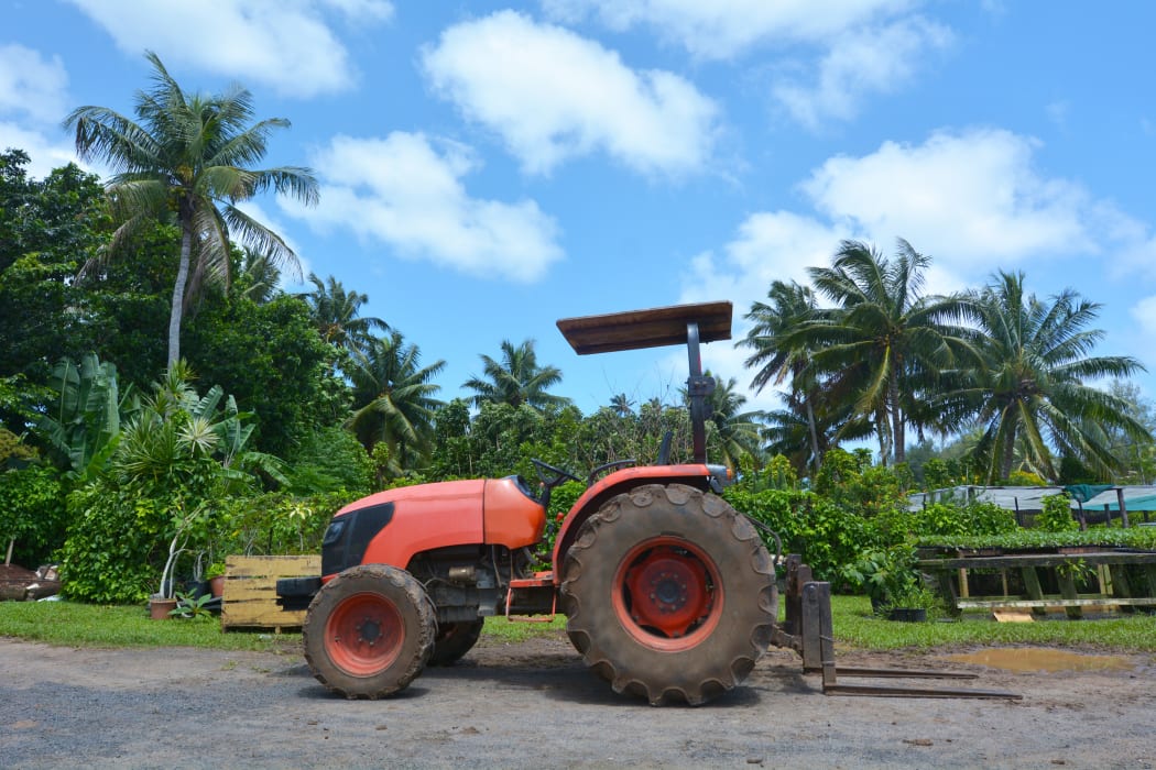 Push to free up govt land for farming in Samoa | RNZ News