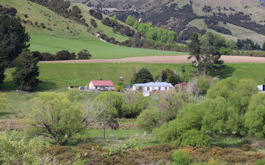 Rugged farmland reverting back to bush | RNZ