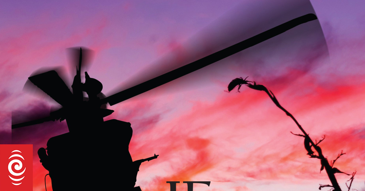 Author Les Allen discusses his book If That's What It Takes | RNZ