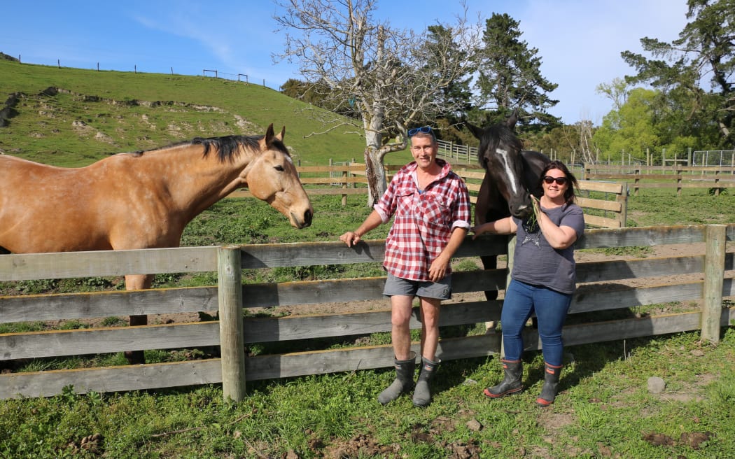 Rugged farmland reverting back to bush | RNZ
