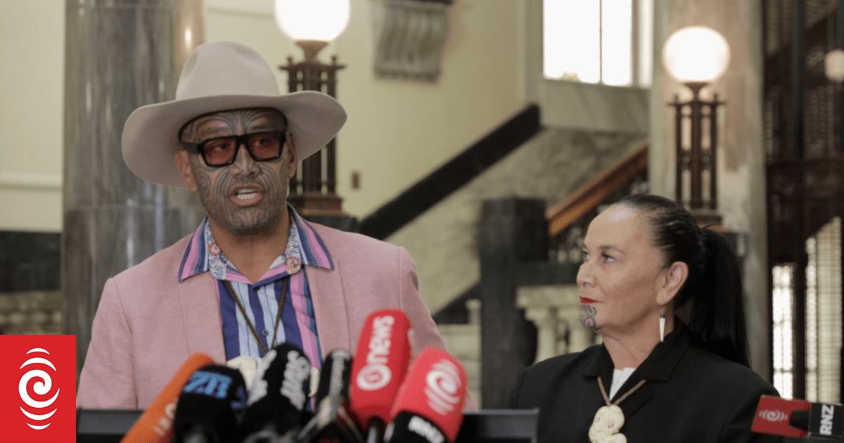 Te Pāti Māori promises 'reset' after rift with Toitū Te Tiriti | RNZ News