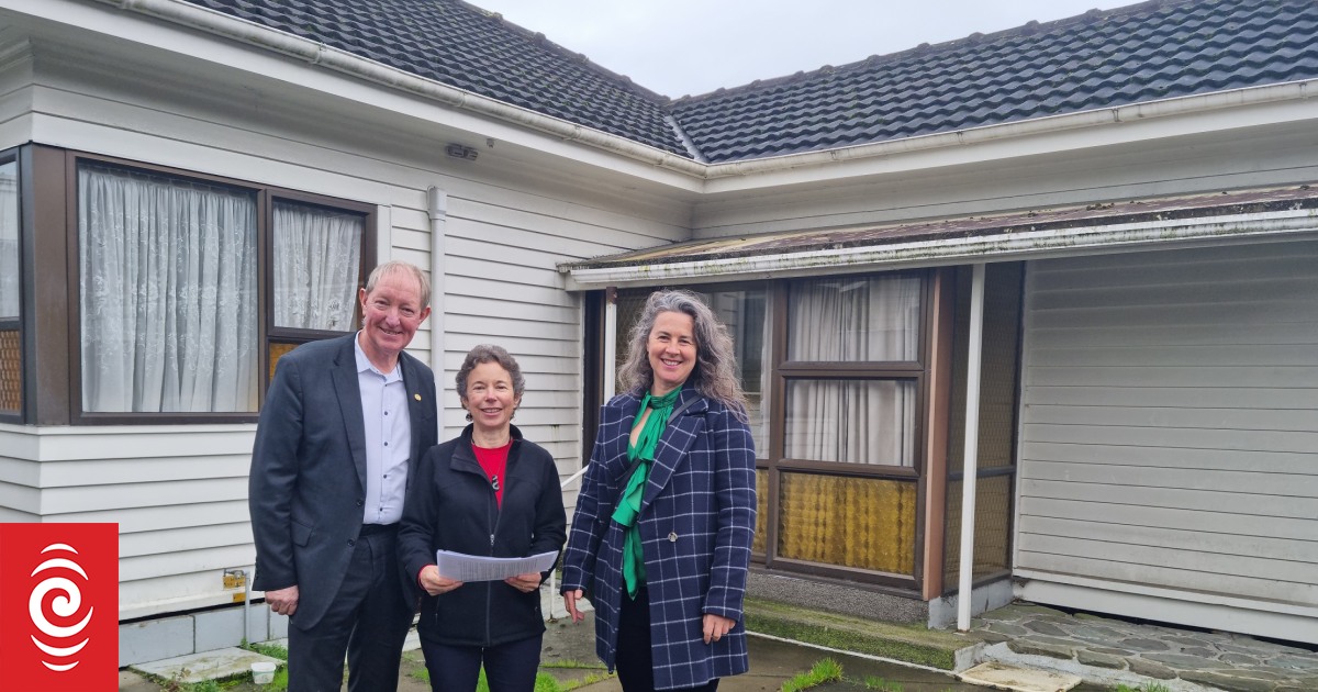 Affordable rental homes to be built in Nelson South after council grant ...