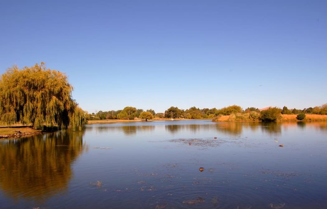 Future of Masterton's Henley Lake up for debate | RNZ News
