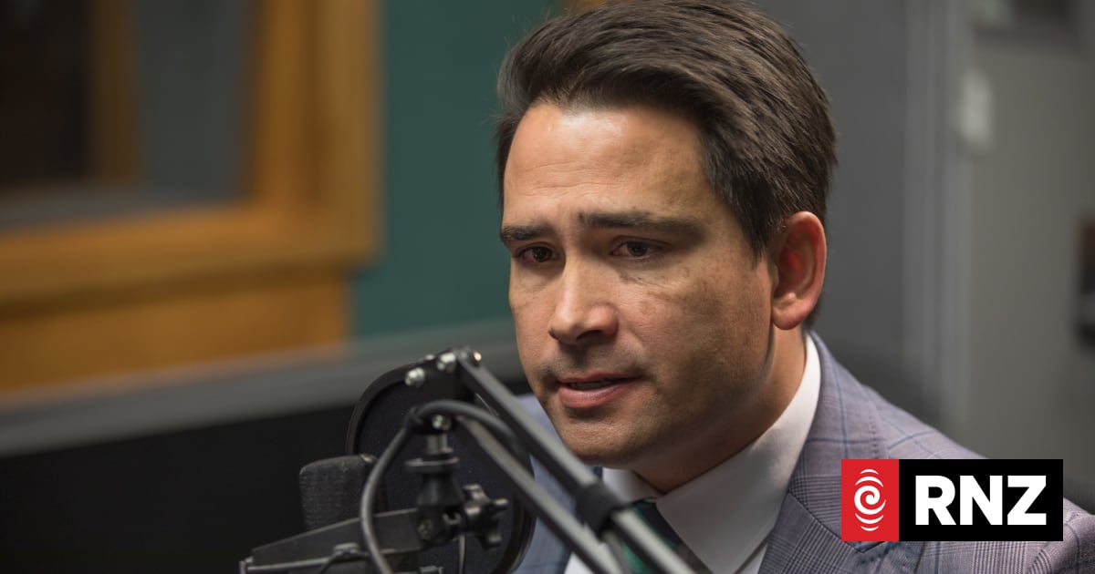 Abolishing Māori seats 'much more trouble than it's worth' - Bridges | RNZ