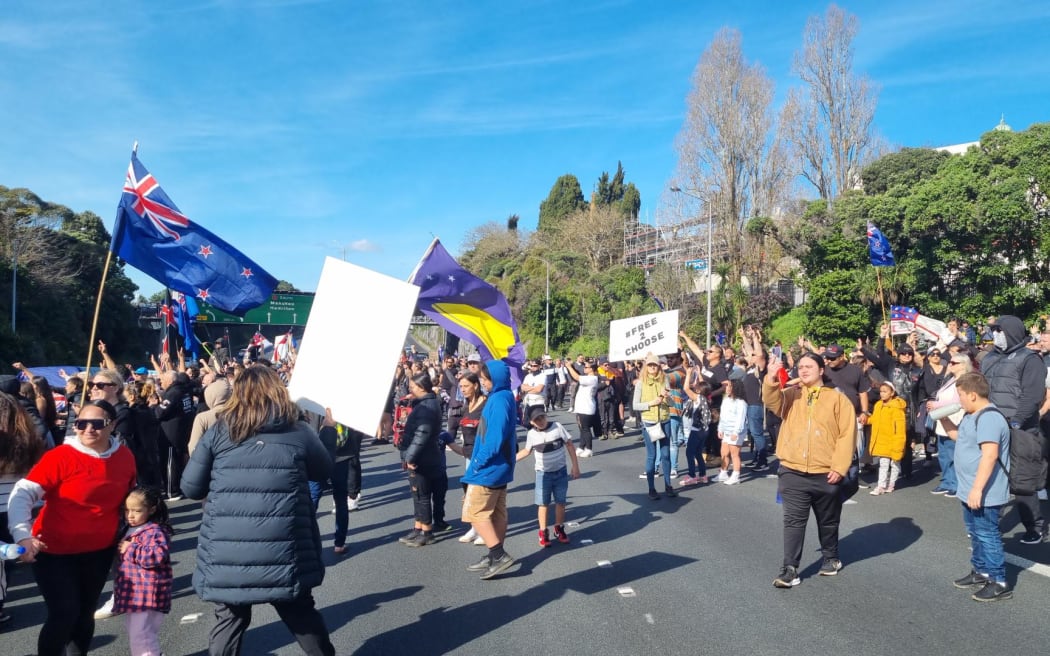 Anti-government protesters stroll onto Auckland motorway | RNZ News