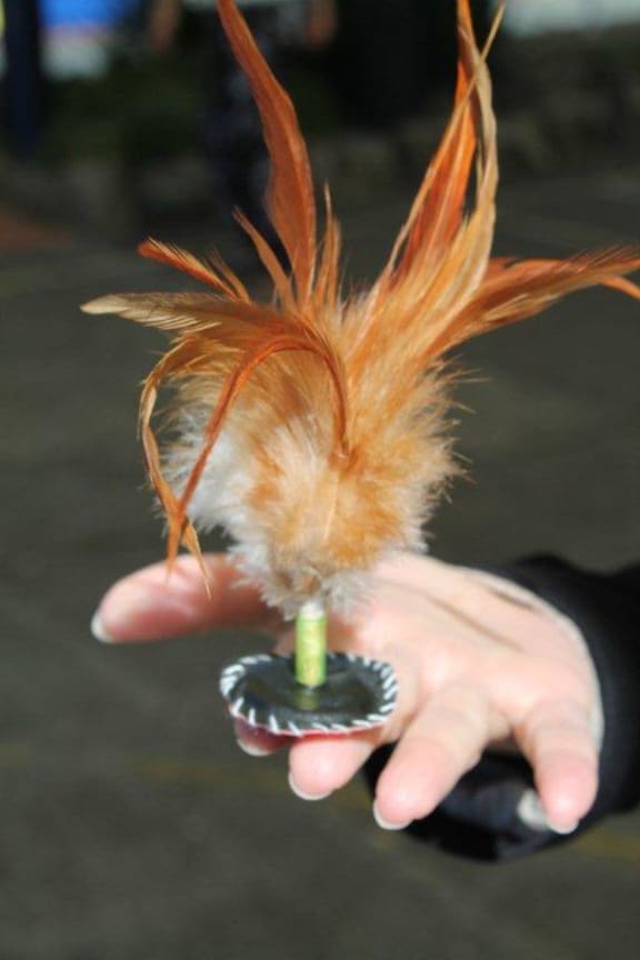 Total Immersion - A tiny rural school goes global | RNZ