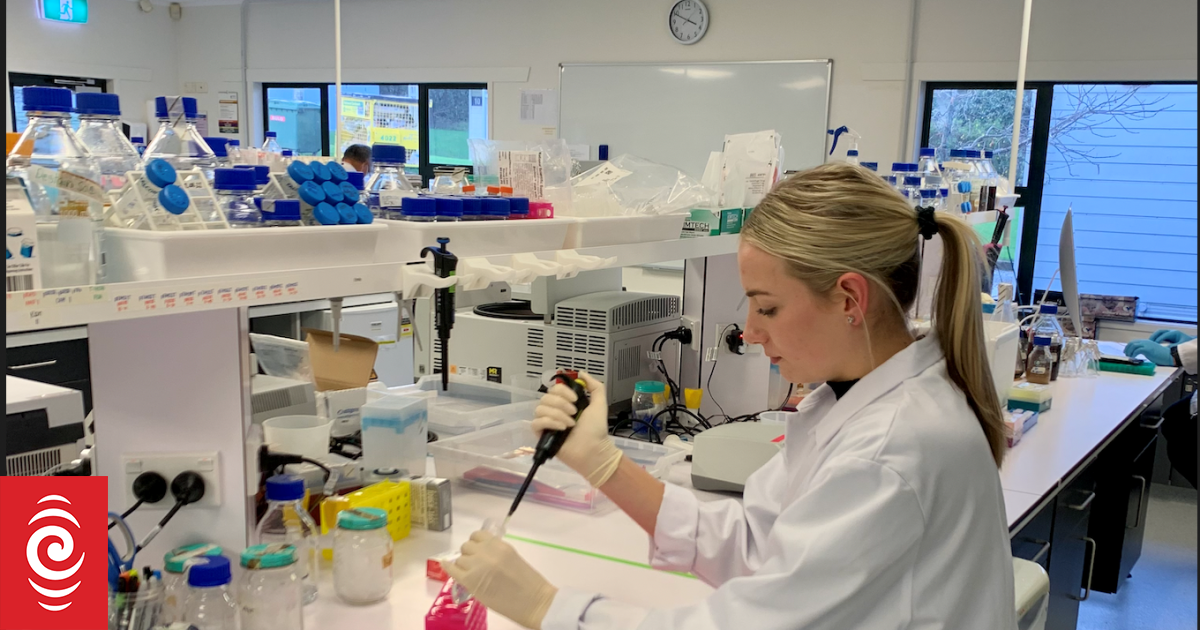 The Auckland startup making milk protein in a lab | RNZ