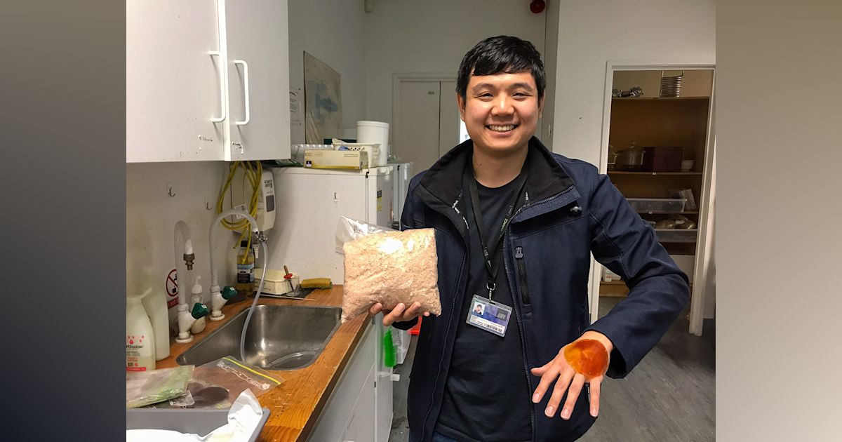 Our Changing World for Thursday 18 July 2024 Our Changing World | RNZ