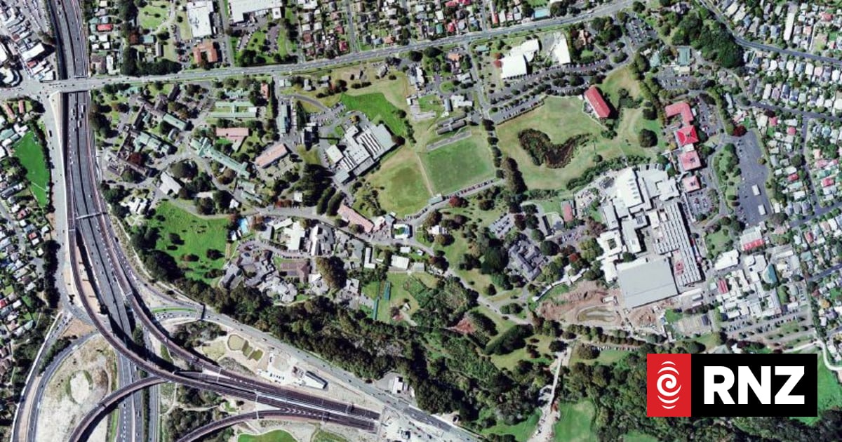Thousands of new homes to be built in Mt Albert | RNZ
