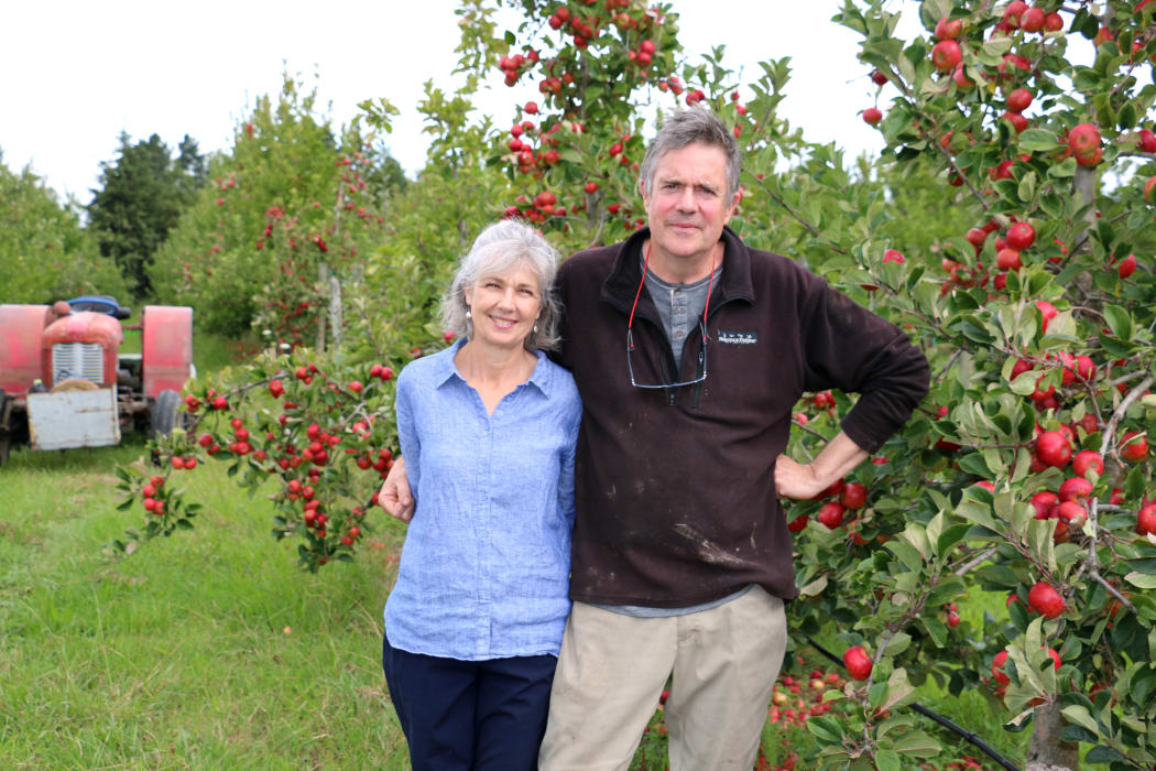 Always look on the bright cider life | RNZ