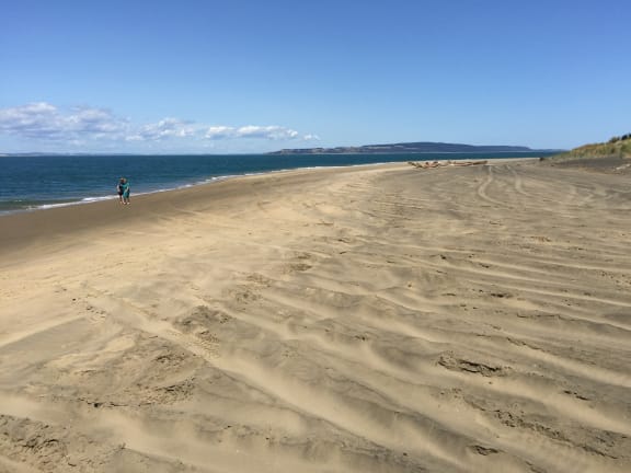 Ripiro Beach | A Gallery from Nine To Noon | RNZ National
