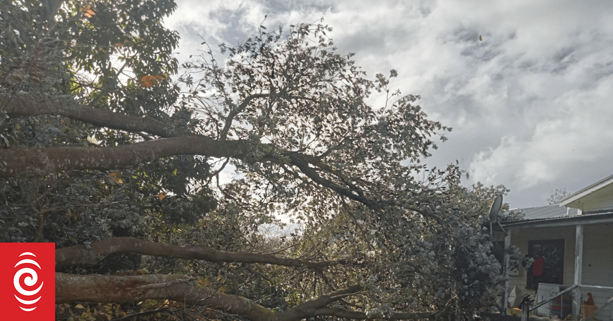 Weather: Gale strength winds to continue in Auckland | RNZ News