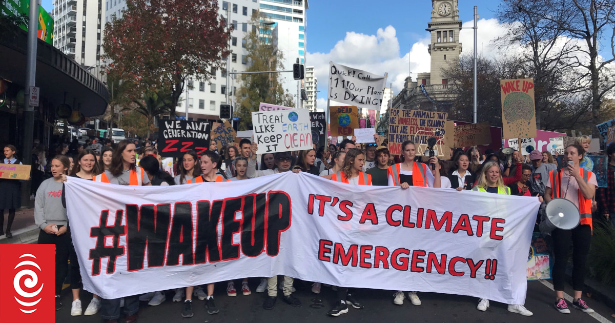 Opinion: Does a council climate emergency mean anything? Sure | RNZ News