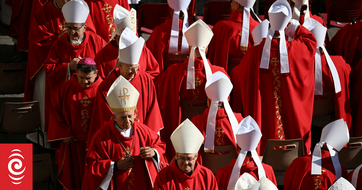 Cardinals choosing the next pope have been offered a dossier on ...