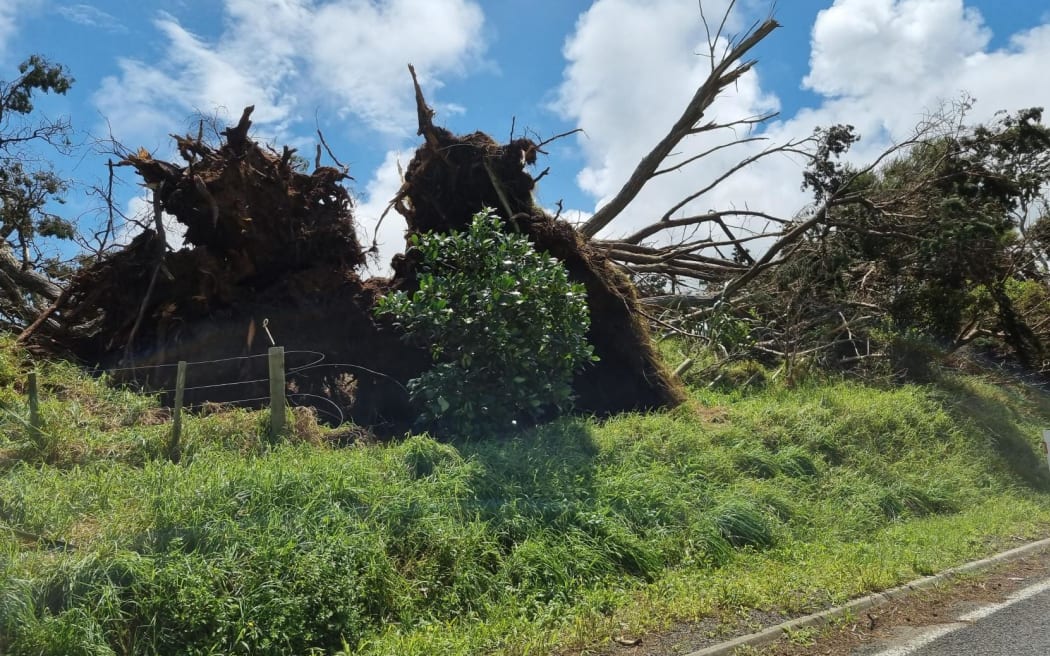 Cyclone Gabrielle anniversary: Looking back at the devastation caused ...