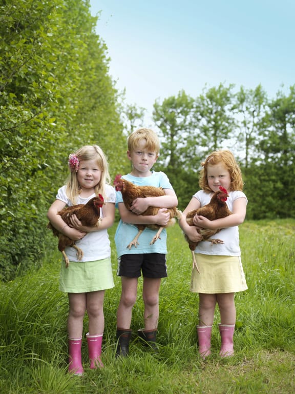 Animals helping children to heal | A Gallery from Nine To Noon | RNZ ...