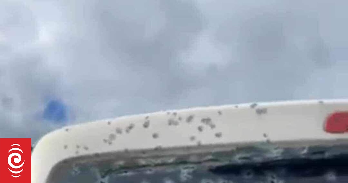 Iwi steps in to ease gang tensions after rugby club van shot at | RNZ News