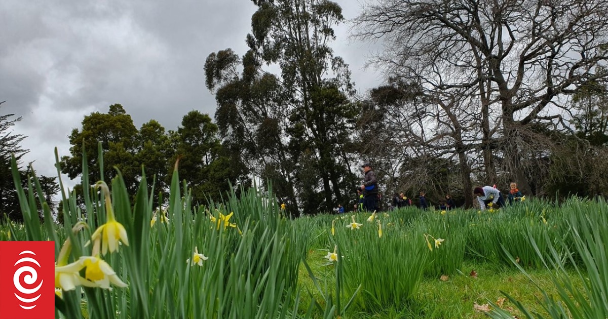 When does spring officially start? | RNZ